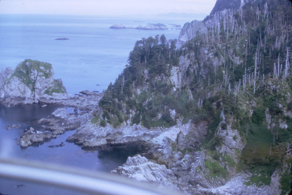 FORESTER ISLAND ADVENTURE | Inspirational Travel Adventures