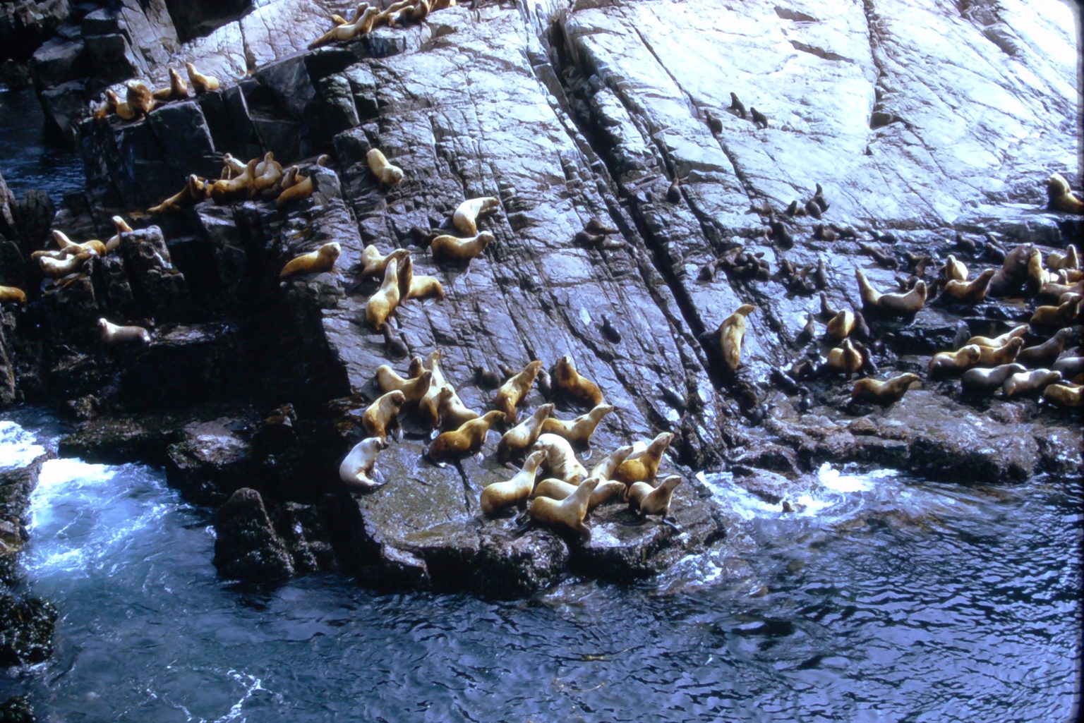 FORESTER ISLAND ADVENTURE | Inspirational Travel Adventures