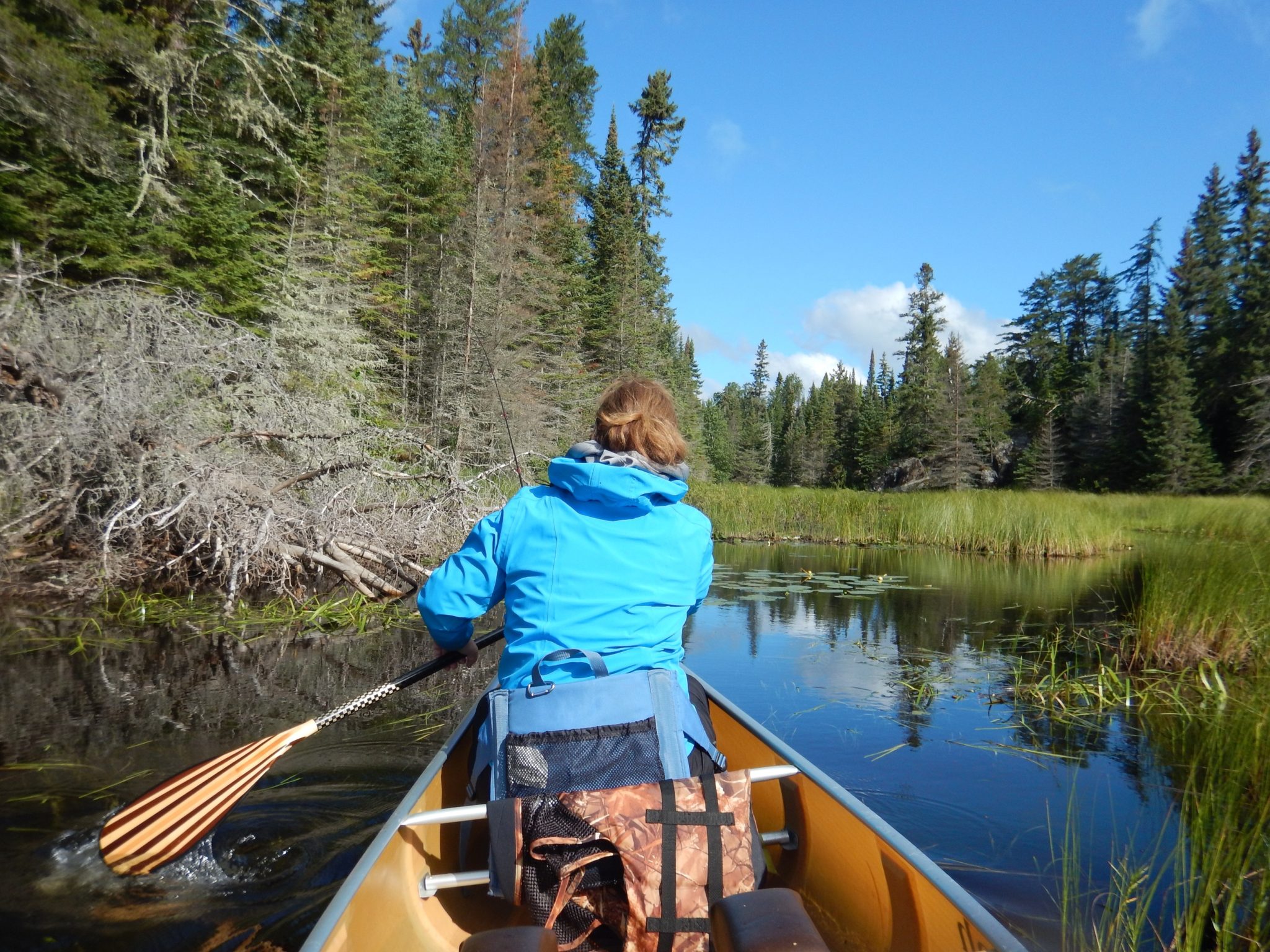 BWCA – A PERILOUS WILDERNESS ADVENTURE : (Part 2 of 3 part series ...