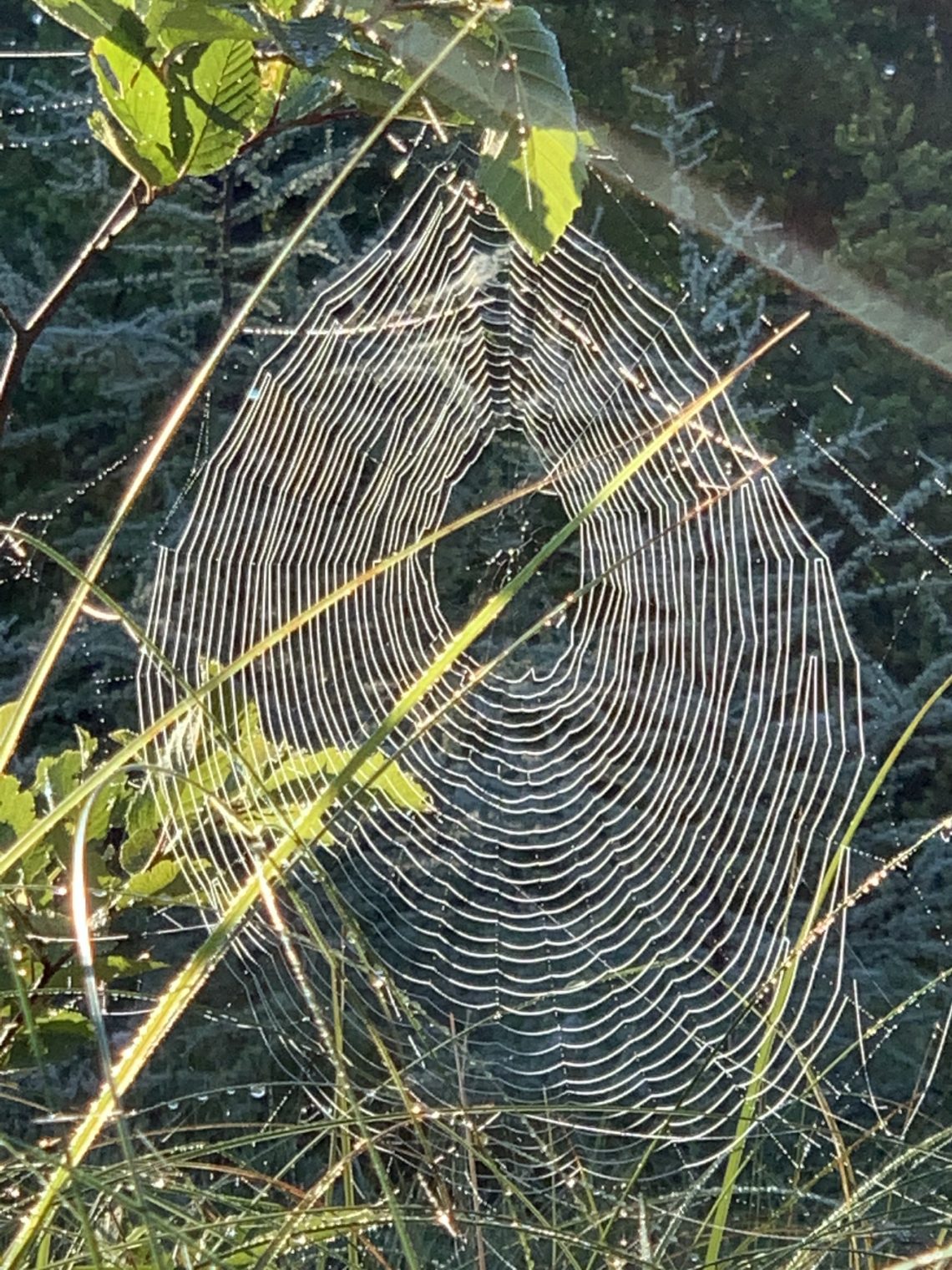 BWCA – A PERILOUS WILDERNESS ADVENTURE : (Part 3 of 3 part series ...