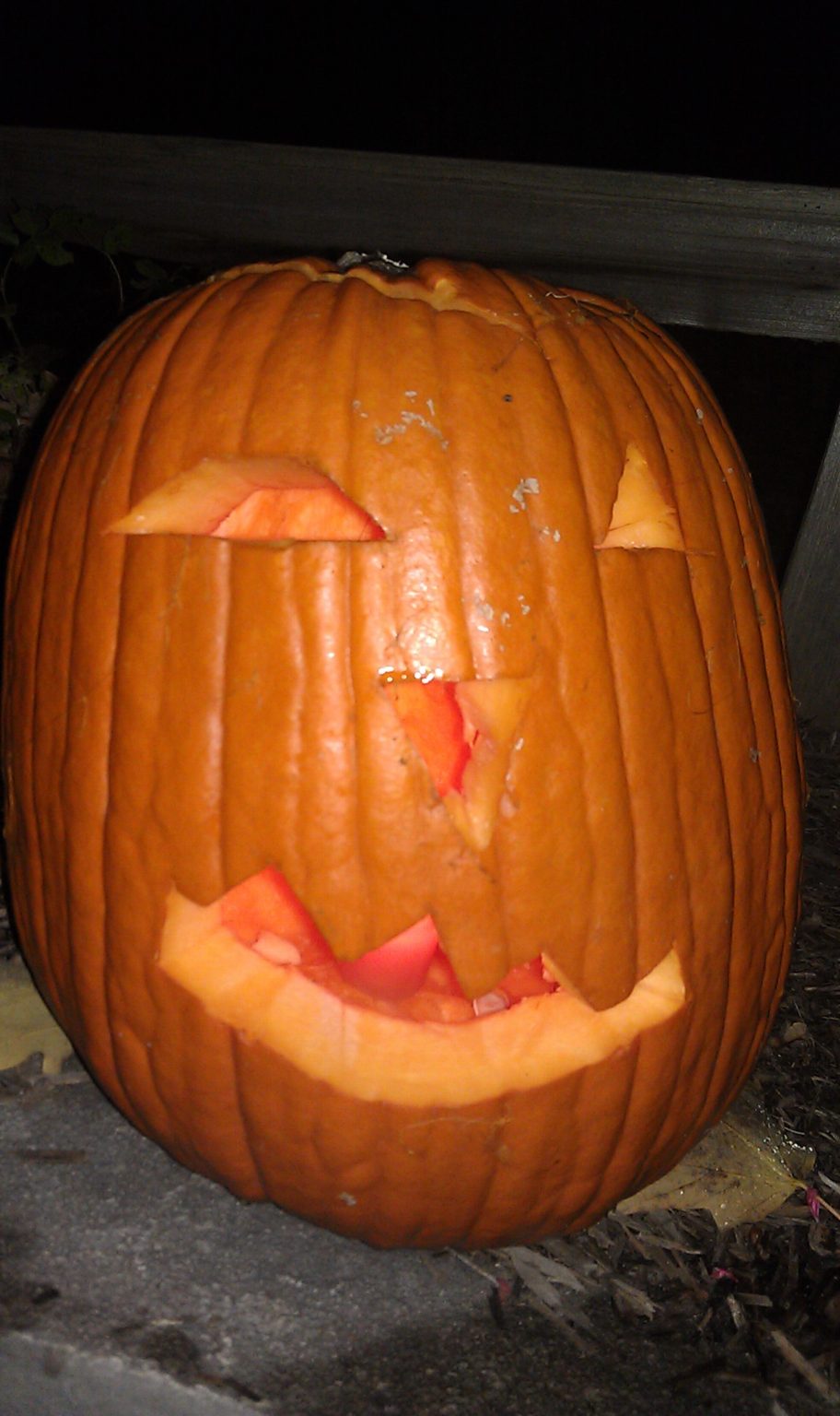 5 WAYS TO ENJOY AUTUMN IN MICHIGAN