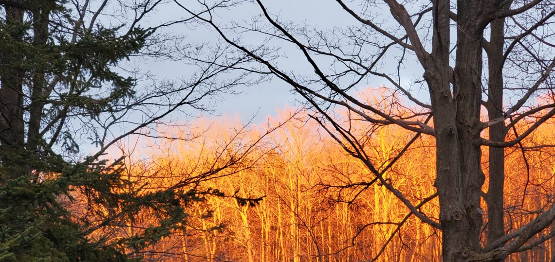 5 WAYS TO ENJOY AUTUMN IN MICHIGAN