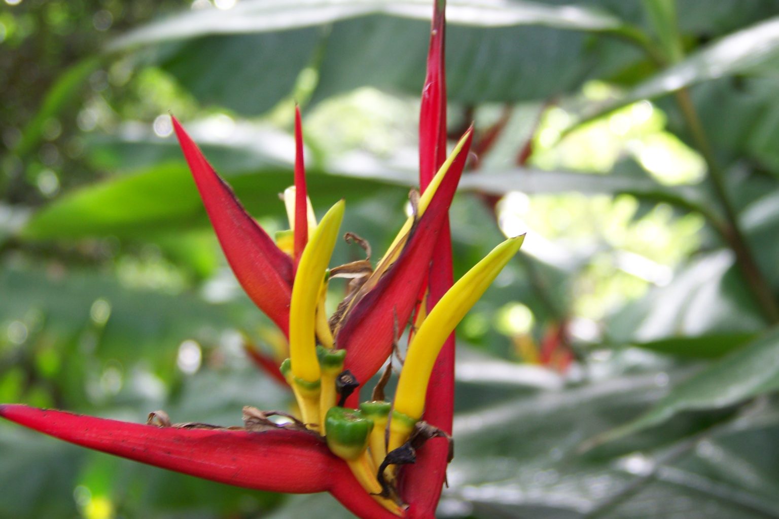 EXPLORE KAUAI, HAWAII | Inspirational Travel Adventures