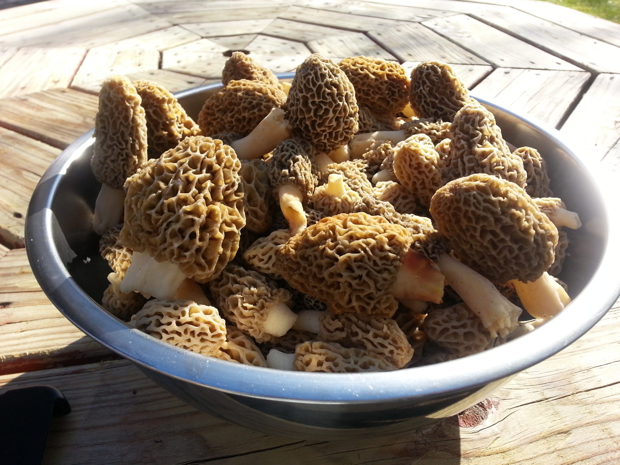 TOP 10 WAYS TO EMBRACE BEAUTIFUL SPRING