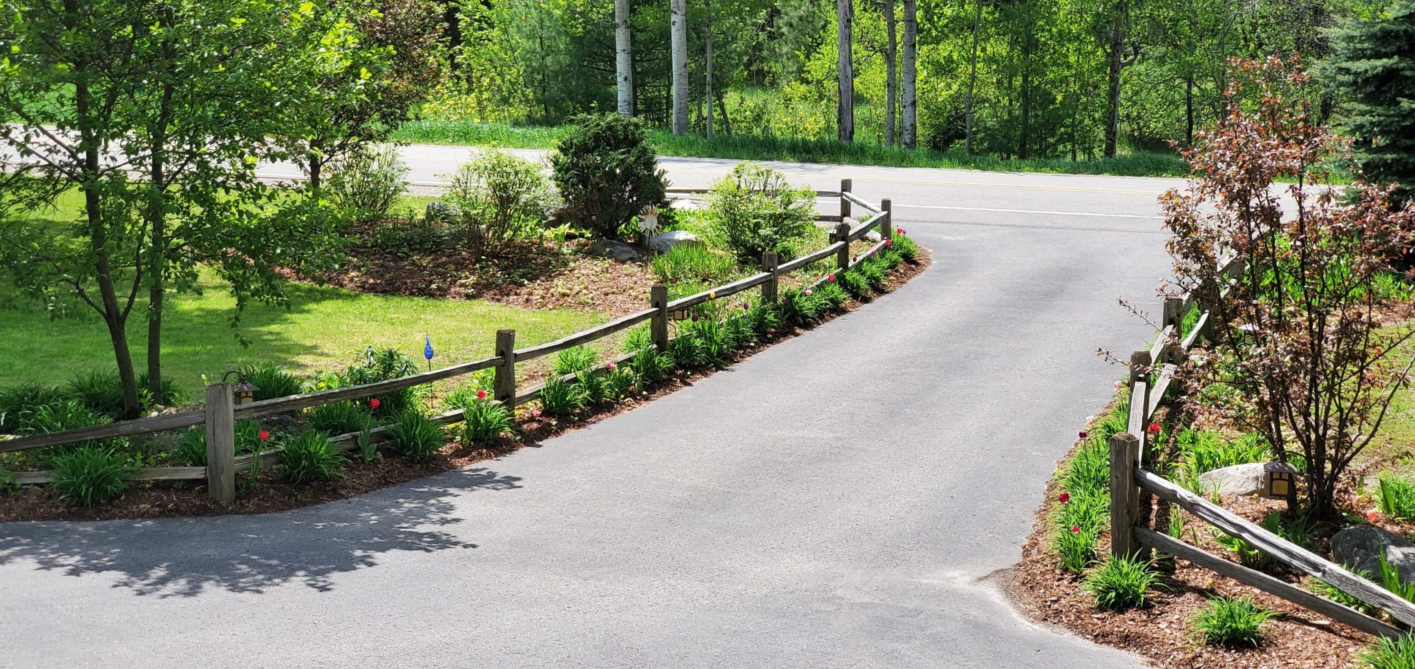 TOP 10 WAYS TO EMBRACE BEAUTIFUL SPRING