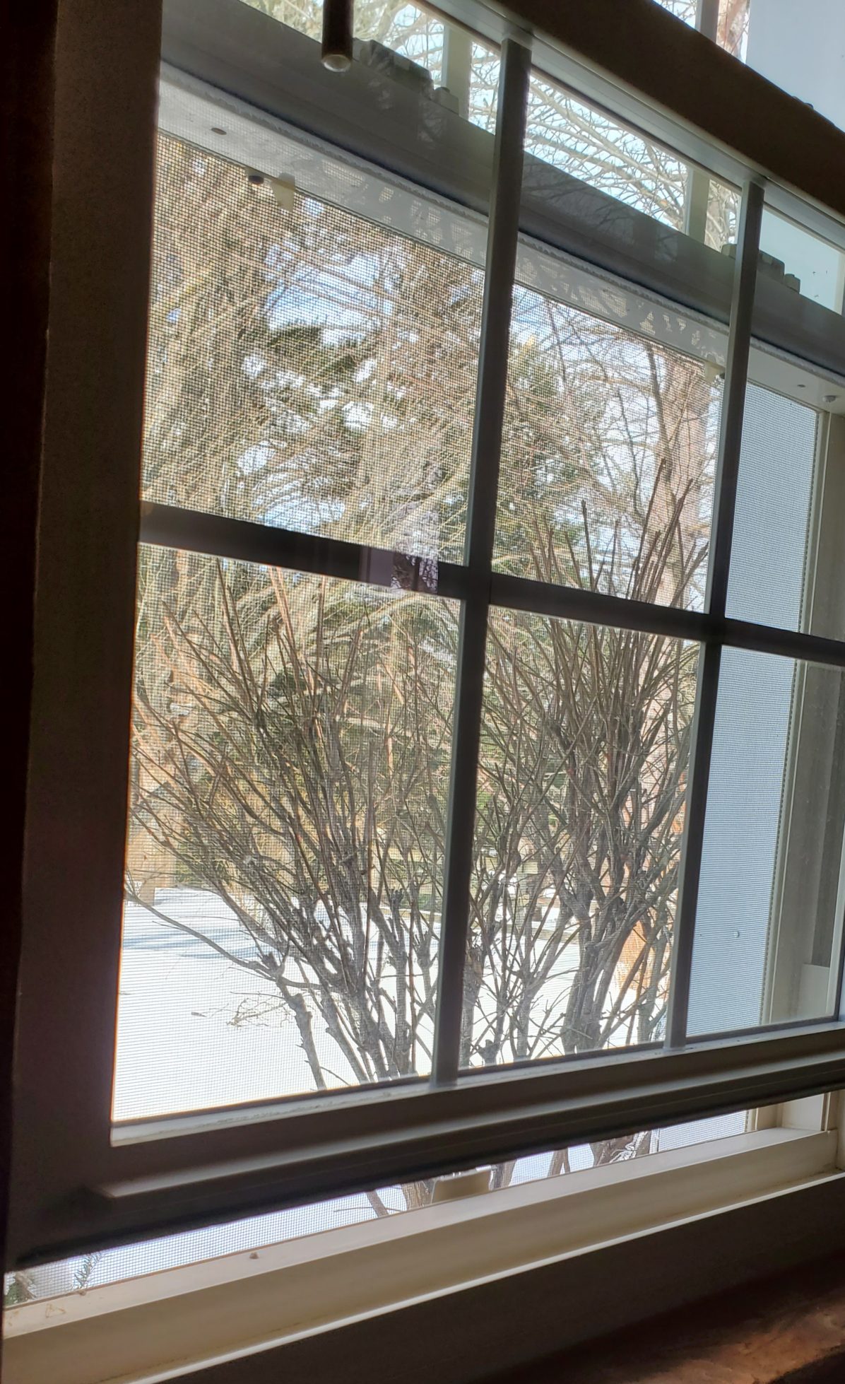 TOP 10 WAYS TO EMBRACE BEAUTIFUL SPRING