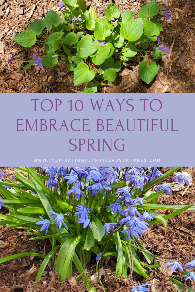 TOP 10 WAYS TO EMBRACE BEAUTIFUL SPRING