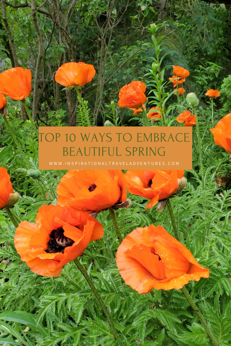 TOP 10 WAYS TO EMBRACE BEAUTIFUL SPRING