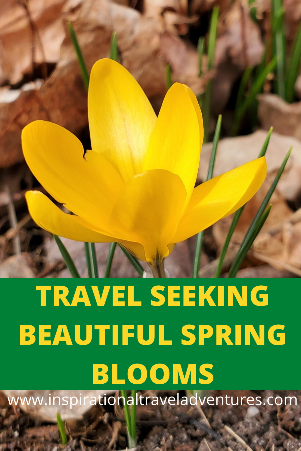 TRAVEL SEEKING BEAUTIFUL SPRING BLOOMS - Inspirational Travel Adventures