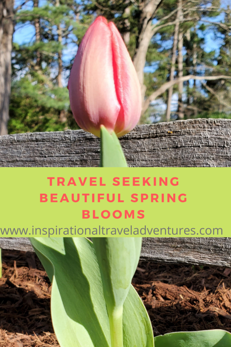 TRAVEL SEEKING BEAUTIFUL SPRING BLOOMS - Inspirational Travel Adventures