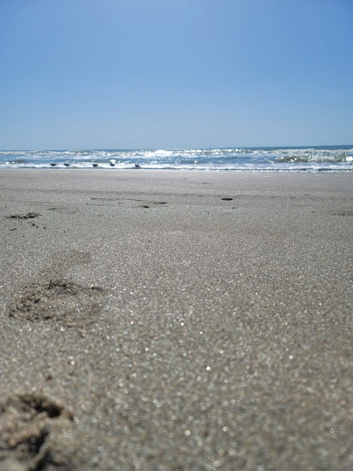 MAGICAL MYRTLE BEACH - Inspirational Travel Adventures